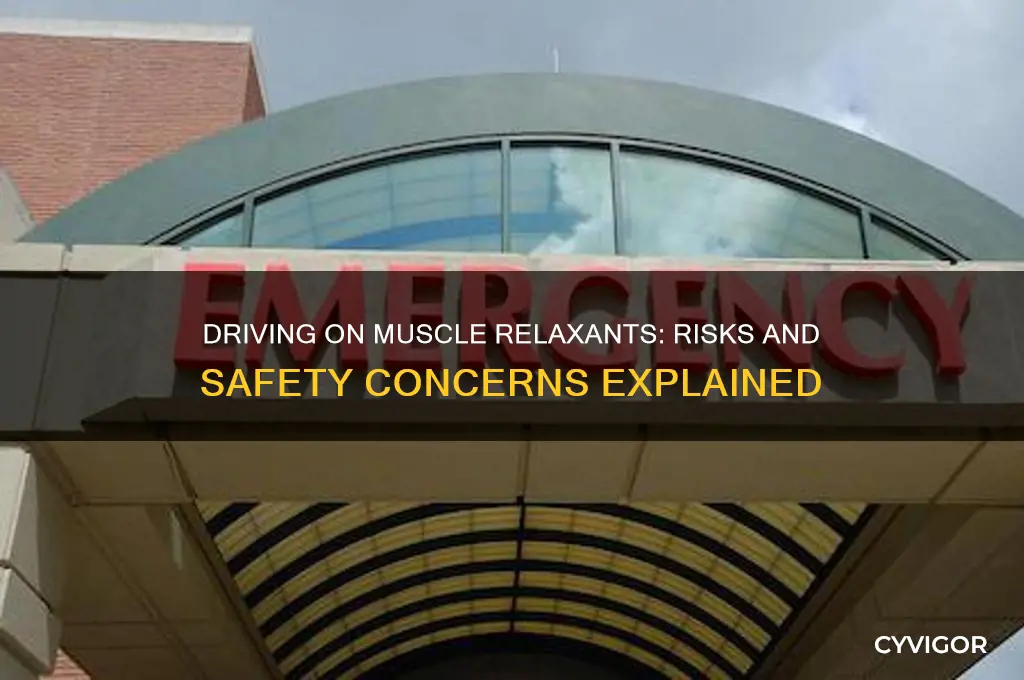 Driving On Muscle Relaxants: Risks And Safety Concerns Explained | CyVigor