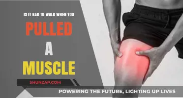 Pulled Muscle Or Liver Pain: How To Tell The Difference | CyVigor