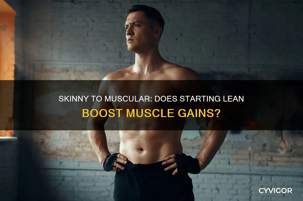 Skinny To Muscular: Does Starting Lean Boost Muscle Gains? | CyVigor