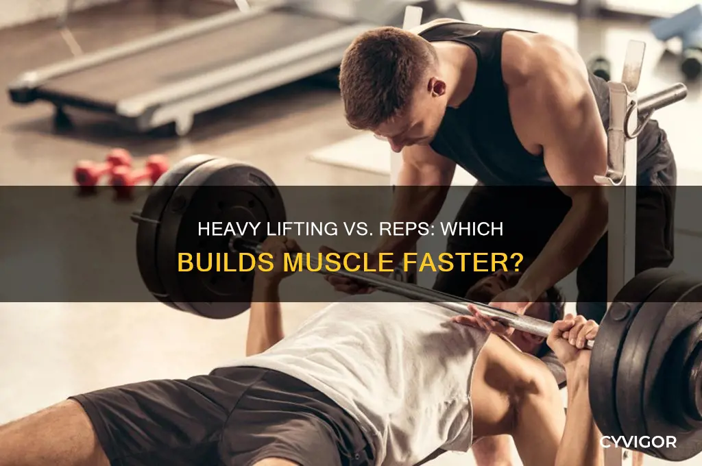 Heavy Lifting Vs. Reps: Which Builds Muscle Faster? | CyVigor