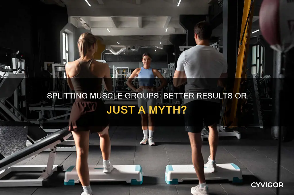 Splitting Muscle Groups: Better Results Or Just A Myth? | CyVigor