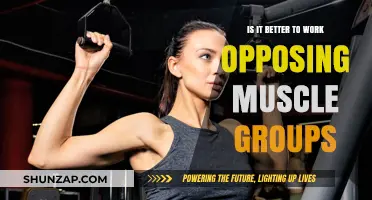 Post-Workout Muscle Swelling: Normal Or Cause For Concern? | CyVigor