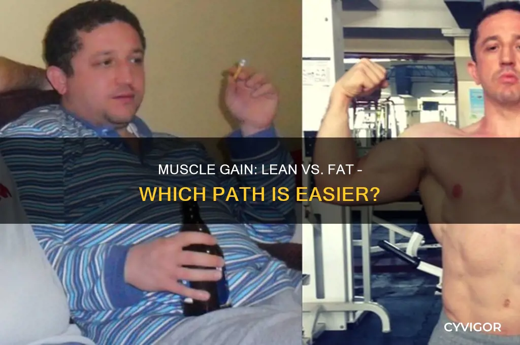 Muscle Gain: Lean Vs. Fat – Which Path Is Easier? | CyVigor