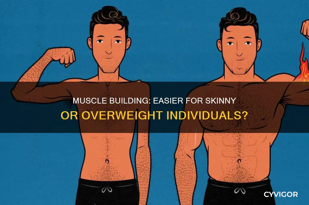 Muscle Building: Easier For Skinny Or Overweight Individuals? | CyVigor