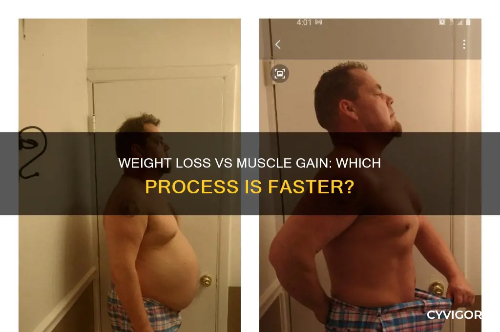 Weight Loss Vs Muscle Gain: Which Process Is Faster? | CyVigor