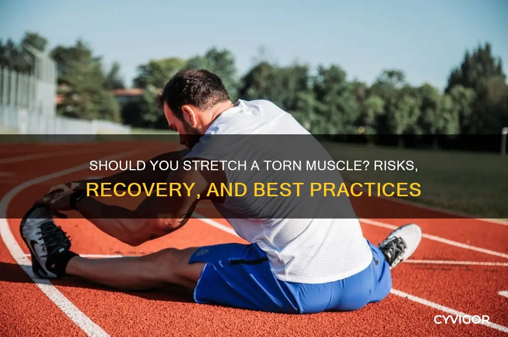 Should You Stretch A Torn Muscle? Risks, Recovery, And Best Practices ...