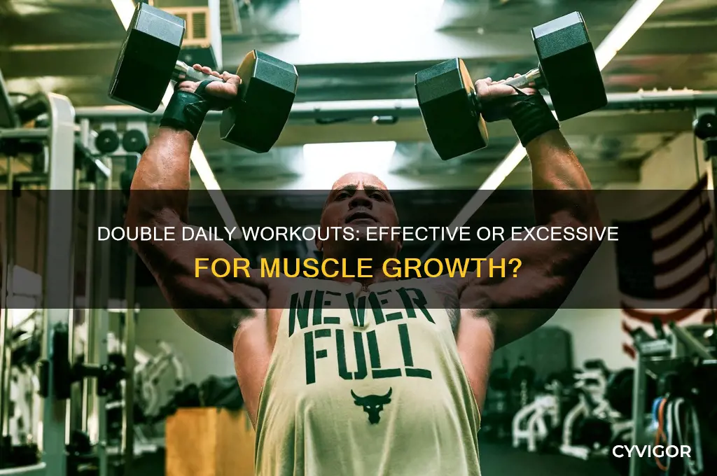 Double Daily Workouts: Effective Or Excessive For Muscle Growth? | CyVigor