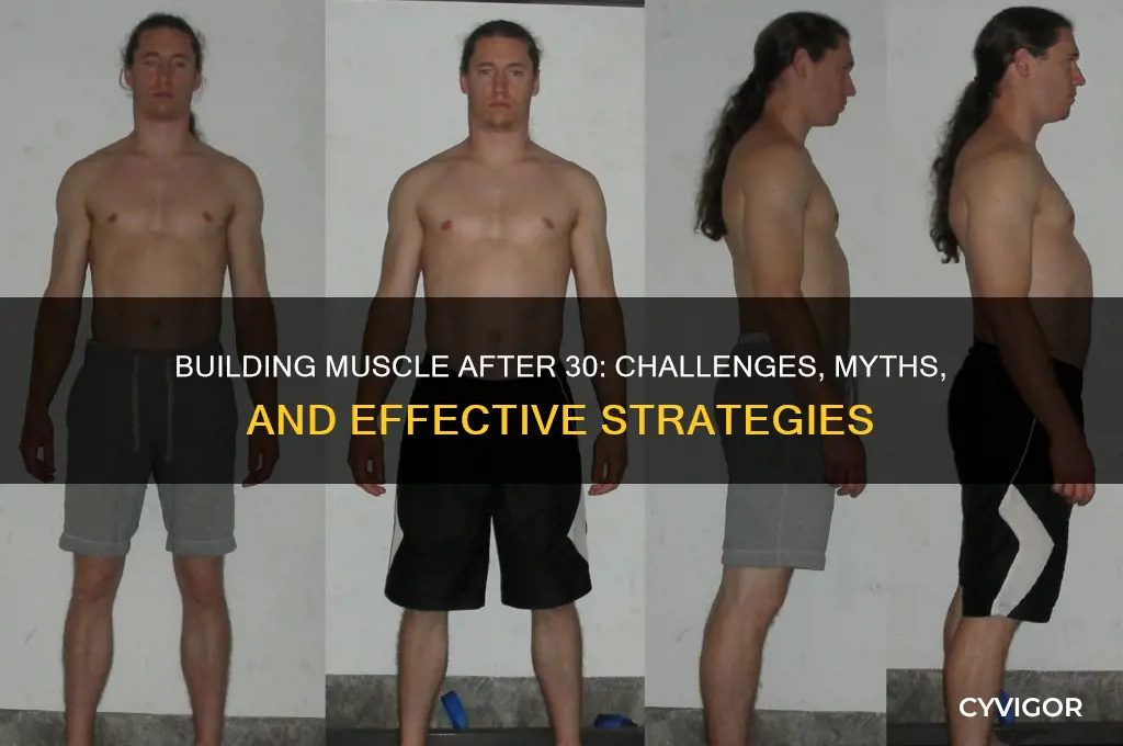 Building Muscle After 30: Challenges, Myths, And Effective Strategies ...