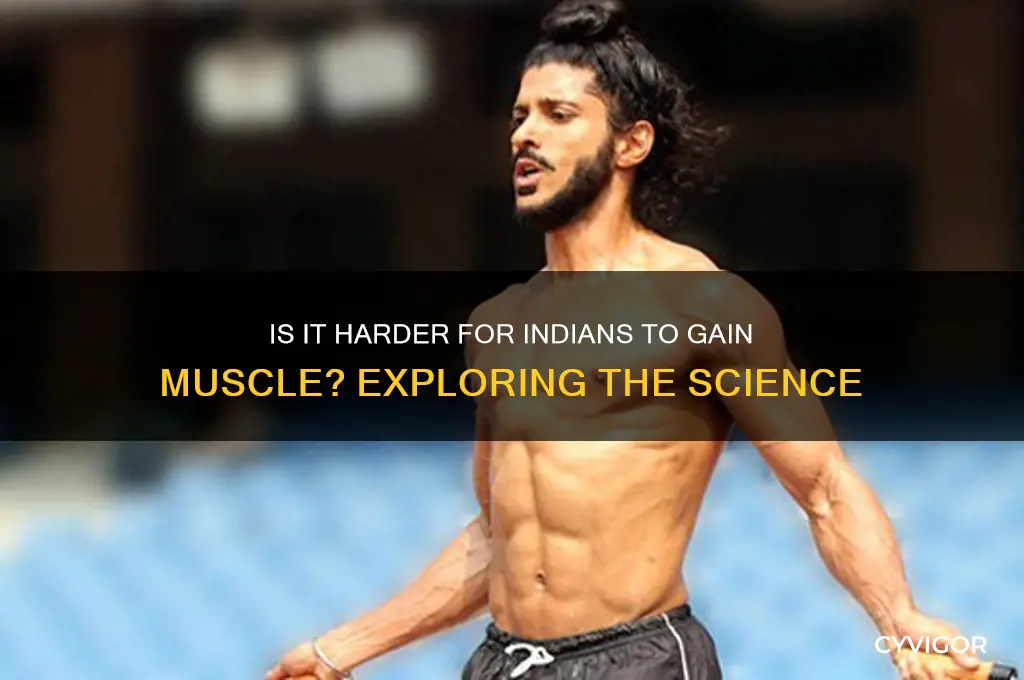Is It Harder For Indians To Gain Muscle? Exploring The Science | CyVigor
