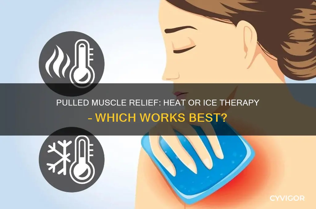 Pulled Muscle Relief: Heat Or Ice Therapy – Which Works Best? | CyVigor