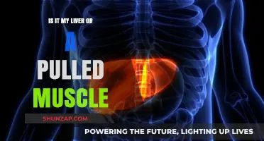 Spleen Pain Or Pulled Muscle: How To Tell The Difference | CyVigor