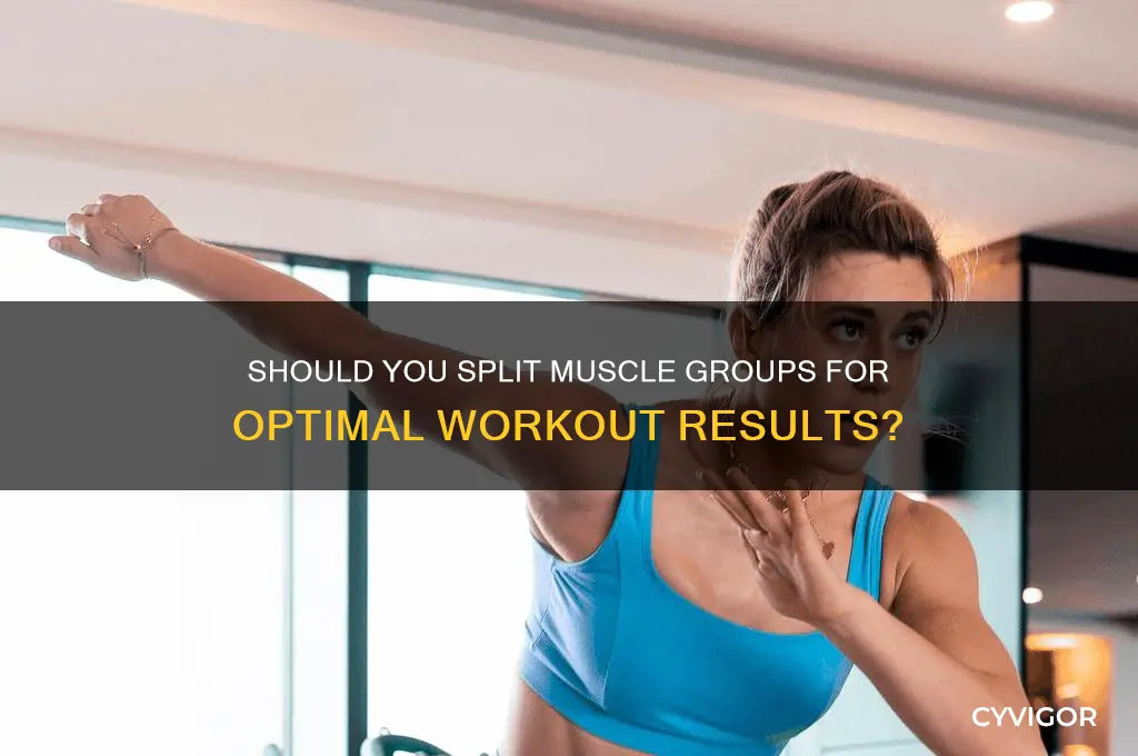 Should You Split Muscle Groups For Optimal Workout Results? | CyVigor