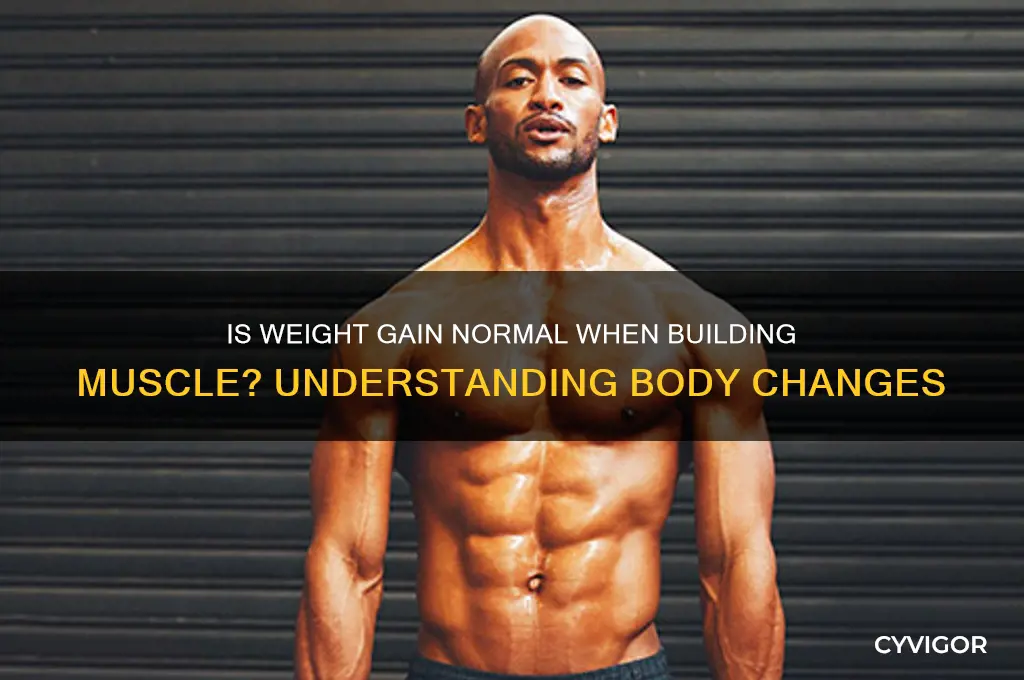 Is Weight Gain Normal When Building Muscle? Understanding Body Changes ...