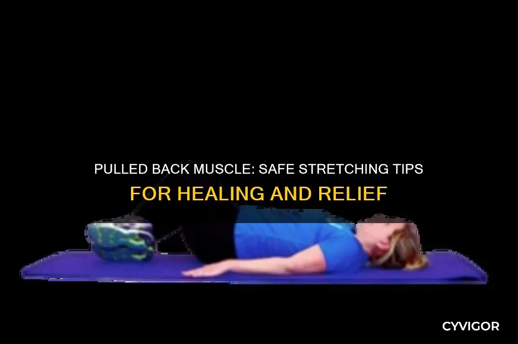Pulled Back Muscle: Safe Stretching Tips For Healing And Relief | CyVigor