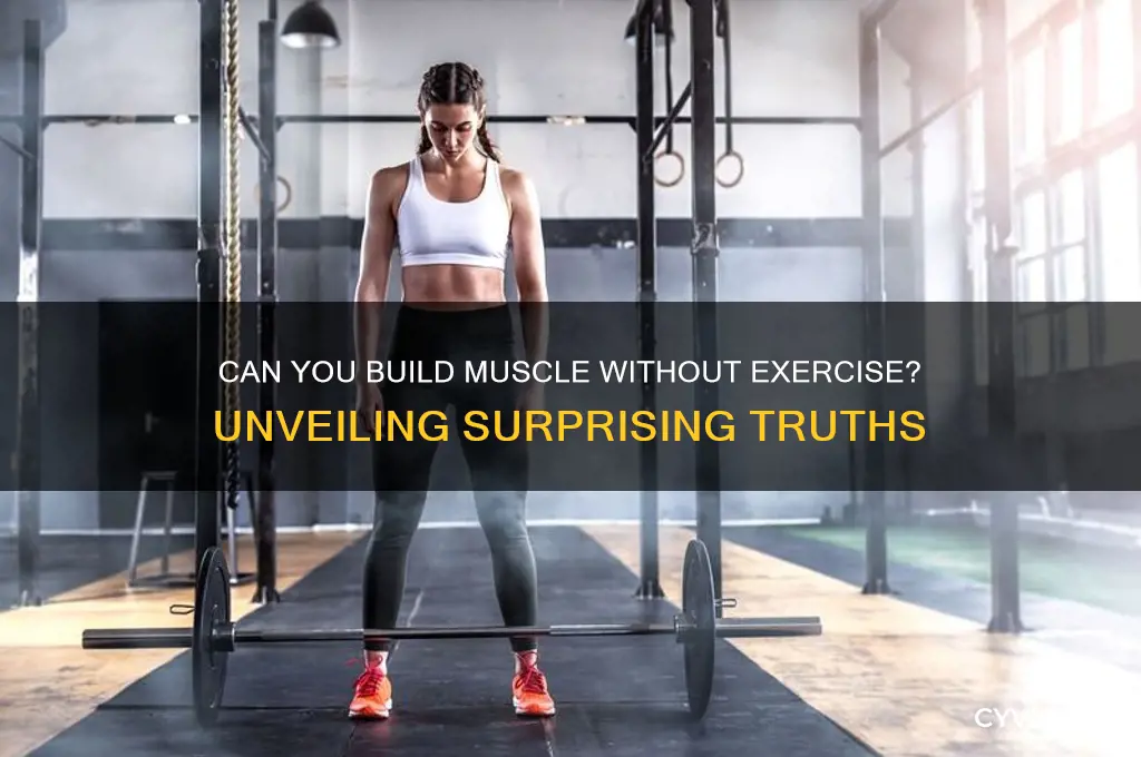 Can You Build Muscle Without Exercise? Unveiling Surprising Truths ...