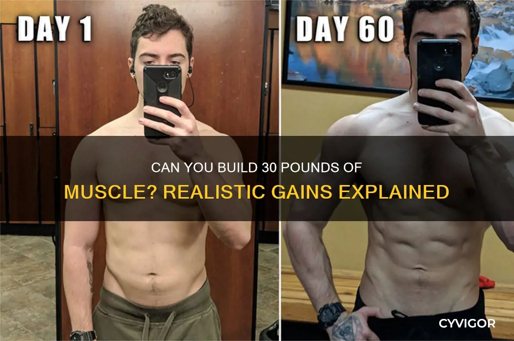Can You Build 30 Pounds Of Muscle? Realistic Gains Explained | CyVigor
