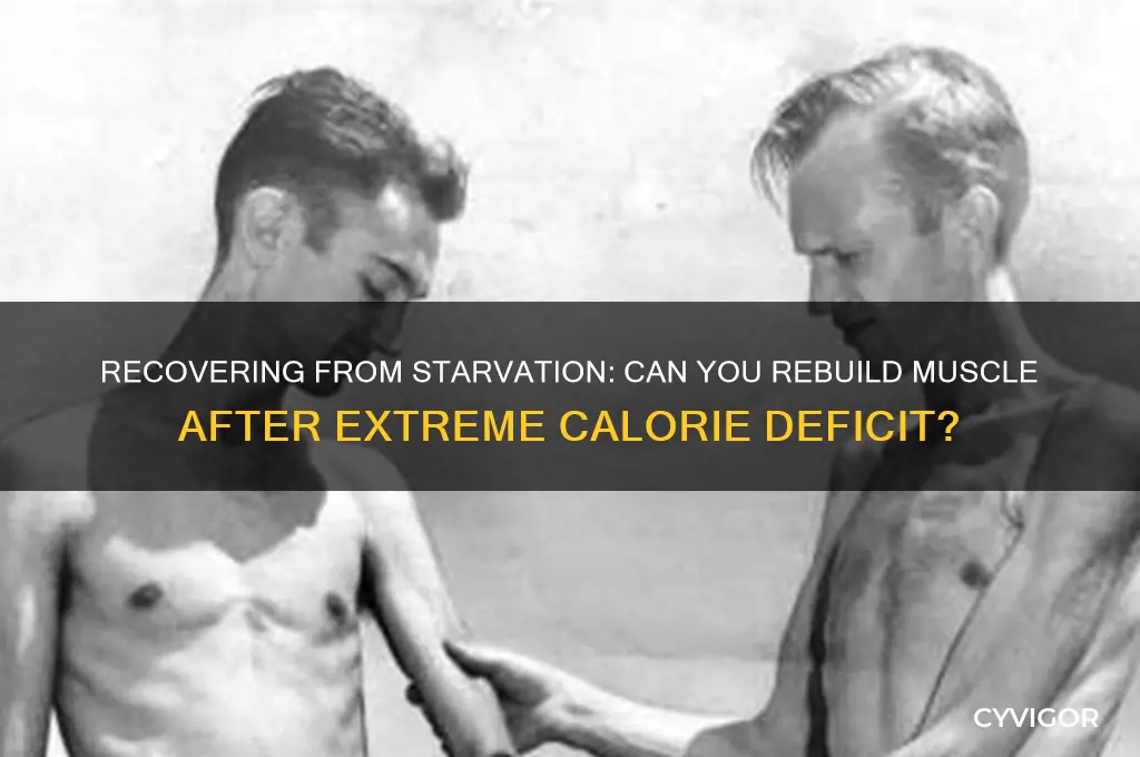 Recovering From Starvation: Can You Rebuild Muscle After Extreme ...