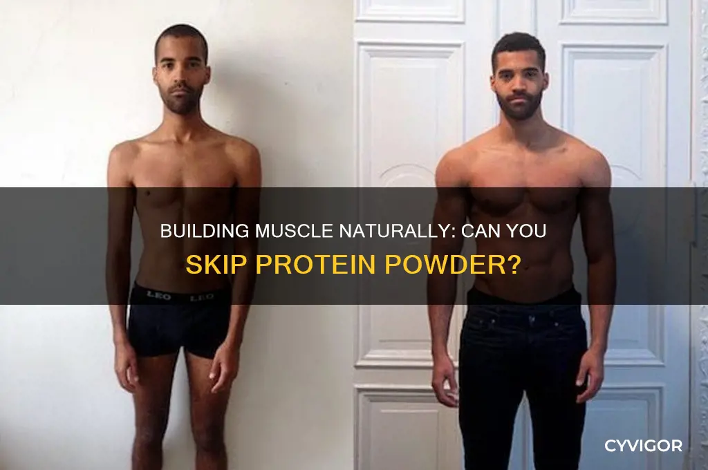 Building Muscle Naturally: Can You Skip Protein Powder? | CyVigor