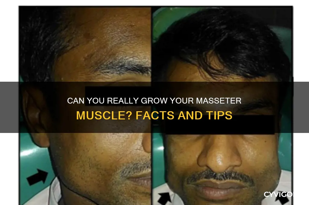 Can You Really Grow Your Masseter Muscle? Facts And Tips | CyVigor