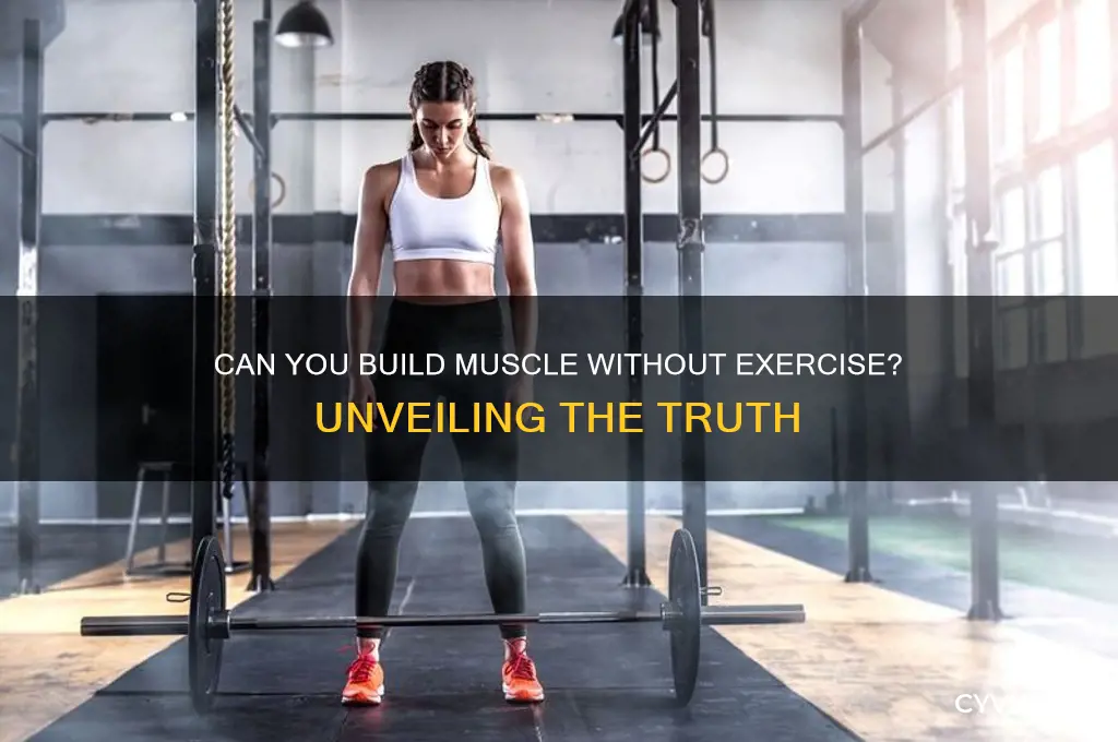 Can You Build Muscle Without Exercise? Unveiling The Truth | CyVigor