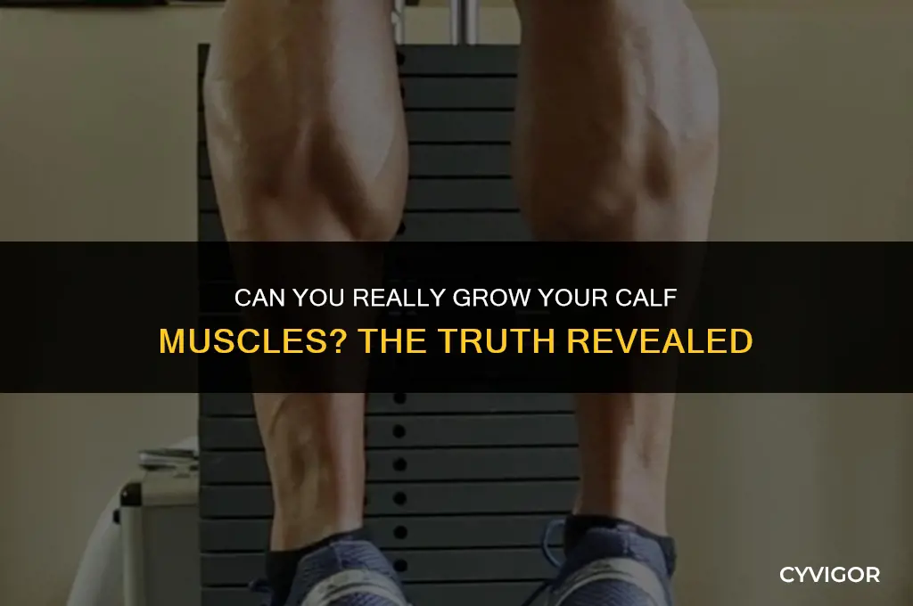 Can You Really Grow Your Calf Muscles? The Truth Revealed | CyVigor