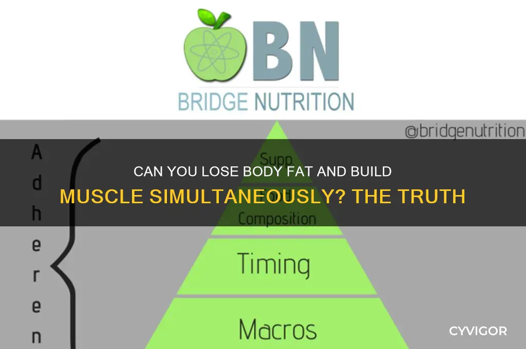 Can You Lose Body Fat And Build Muscle Simultaneously? The Truth | CyVigor