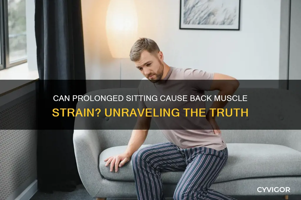 Can Prolonged Sitting Cause Back Muscle Strain? Unraveling The Truth ...