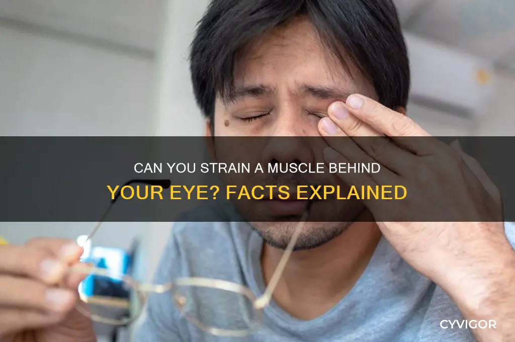 Can You Strain A Muscle Behind Your Eye? Facts Explained | CyVigor