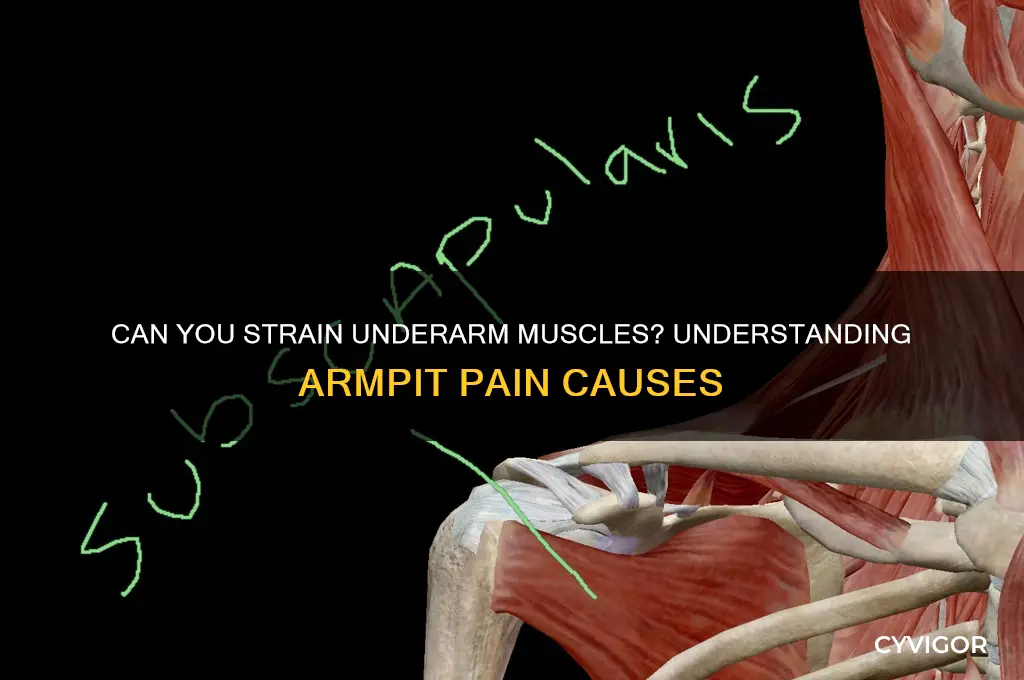 Can You Strain Underarm Muscles? Understanding Armpit Pain Causes | CyVigor