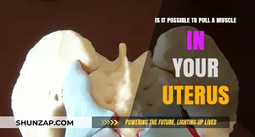 Can You Strain Your Diaphragm? Understanding Muscle Pulls In Breathing ...