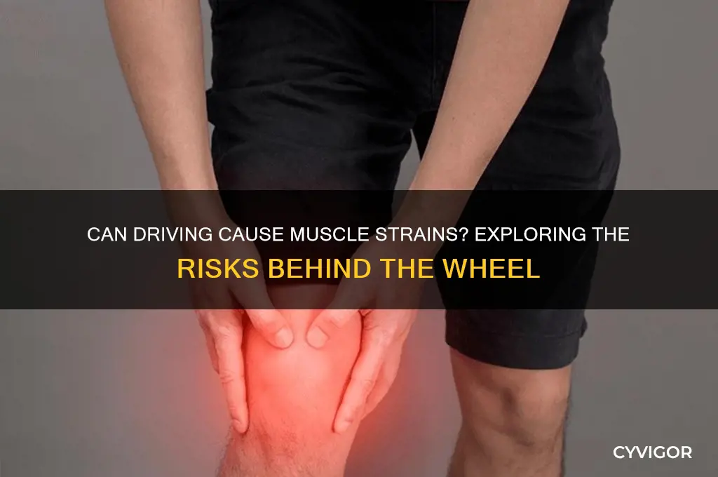 Can Driving Cause Muscle Strains? Exploring The Risks Behind The Wheel ...