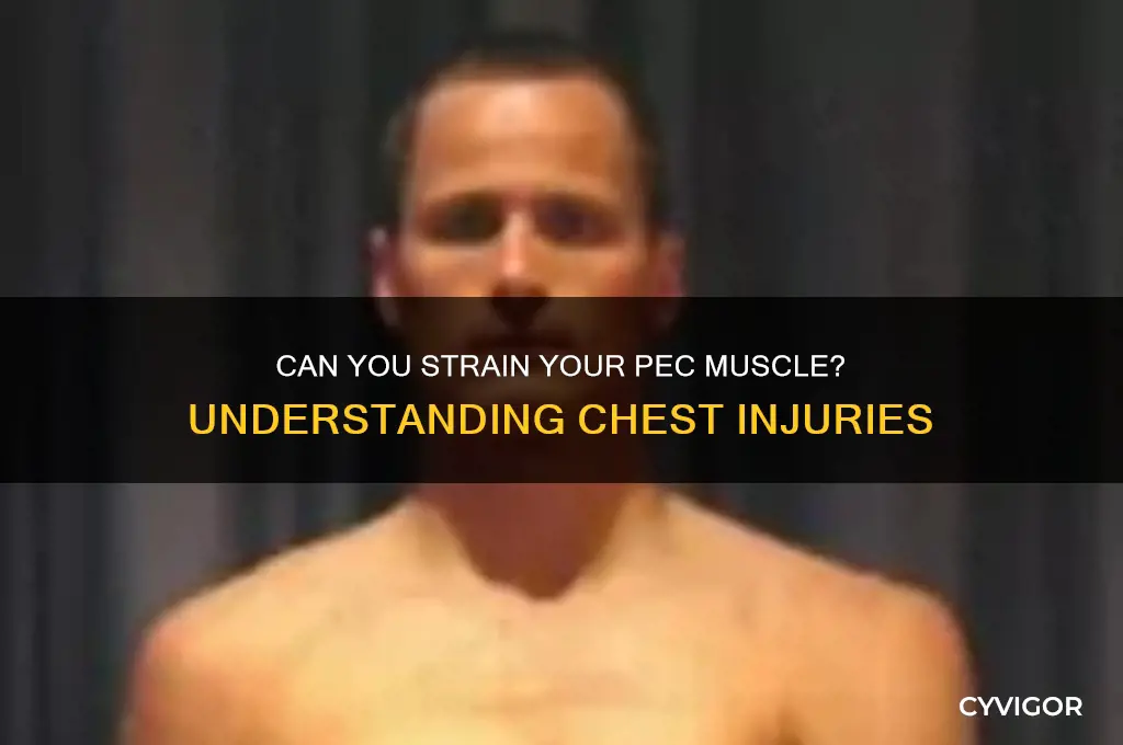 Can You Strain Your Pec Muscle? Understanding Chest Injuries | CyVigor