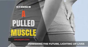 Muscle Strain Vs. Pulled Muscle: Understanding The Difference | CyVigor