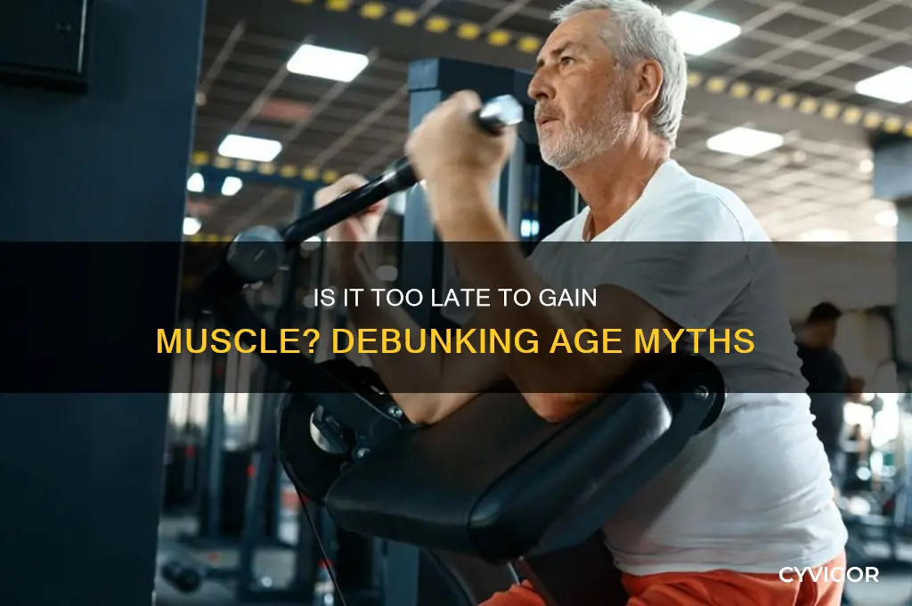 Is It Too Late To Gain Muscle? Debunking Age Myths | CyVigor
