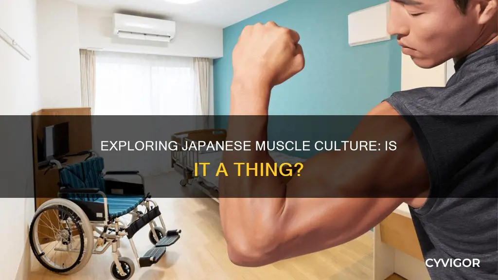 Exploring Japanese Muscle Culture: Is It A Thing? | CyVigor