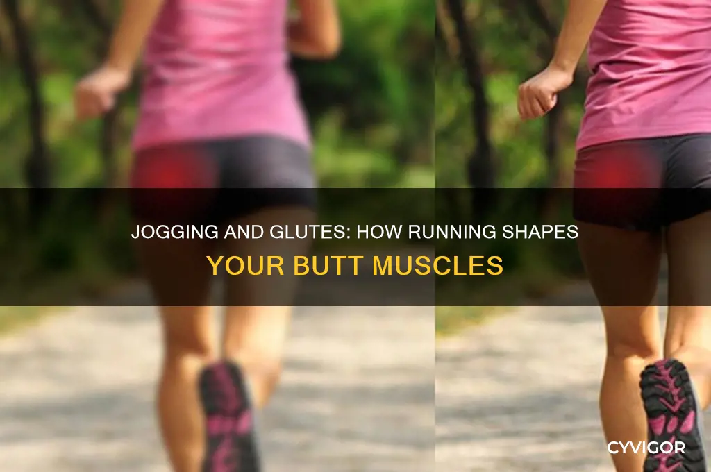 Jogging And Glutes: How Running Shapes Your Butt Muscles | CyVigor