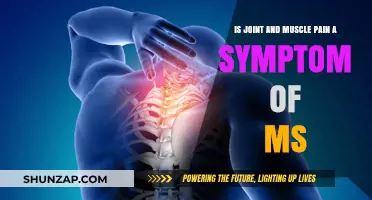 Lidocaine For Muscle Pain: Uses, Effectiveness, And Safety Explained ...