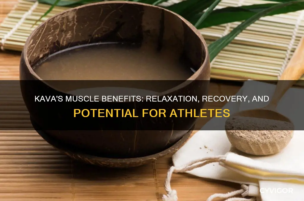 Kava's Muscle Benefits: Relaxation, Recovery, And Potential For ...
