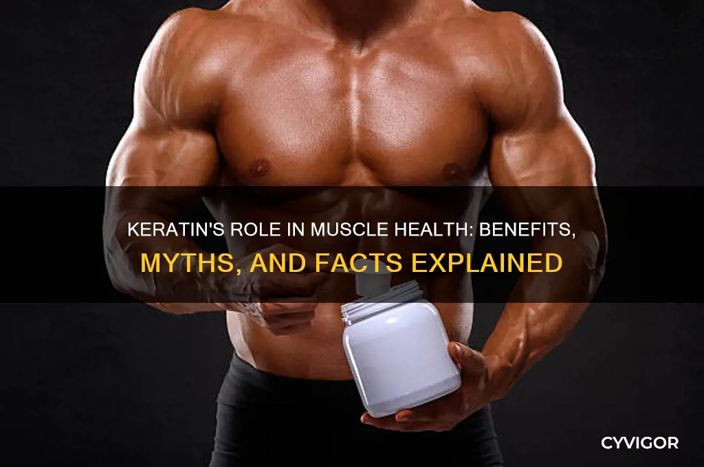 Keratin's Role In Muscle Health: Benefits, Myths, And Facts Explained ...