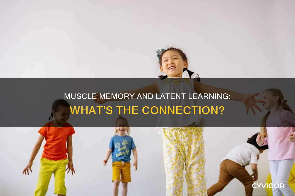 Muscle Memory And Latent Learning: What's The Connection? | CyVigor