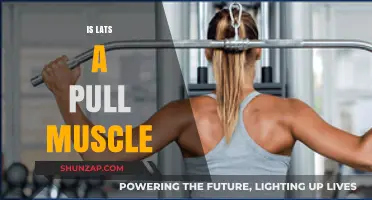 Muscles: Do They Only Push Or Can They Pull Too? | CyVigor