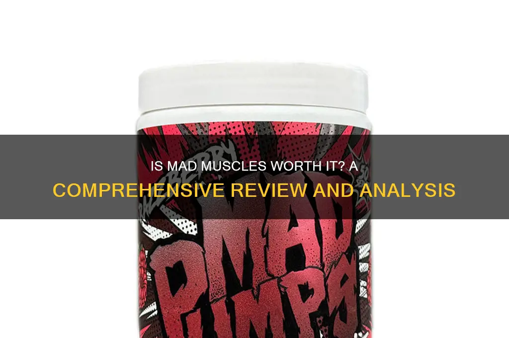 Is Mad Muscles Worth It? A Comprehensive Review And Analysis | CyVigor