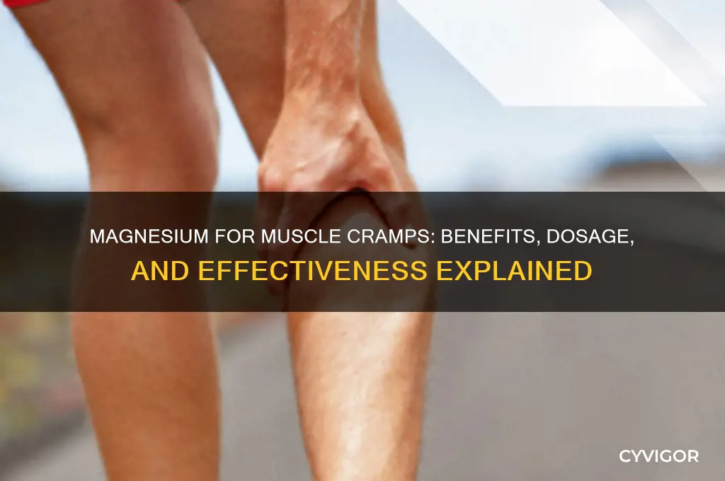 Magnesium For Muscle Cramps: Benefits, Dosage, And Effectiveness ...