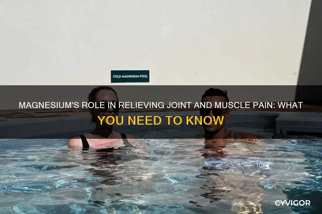 Magnesium's Role In Relieving Joint And Muscle Pain: What You Need To ...