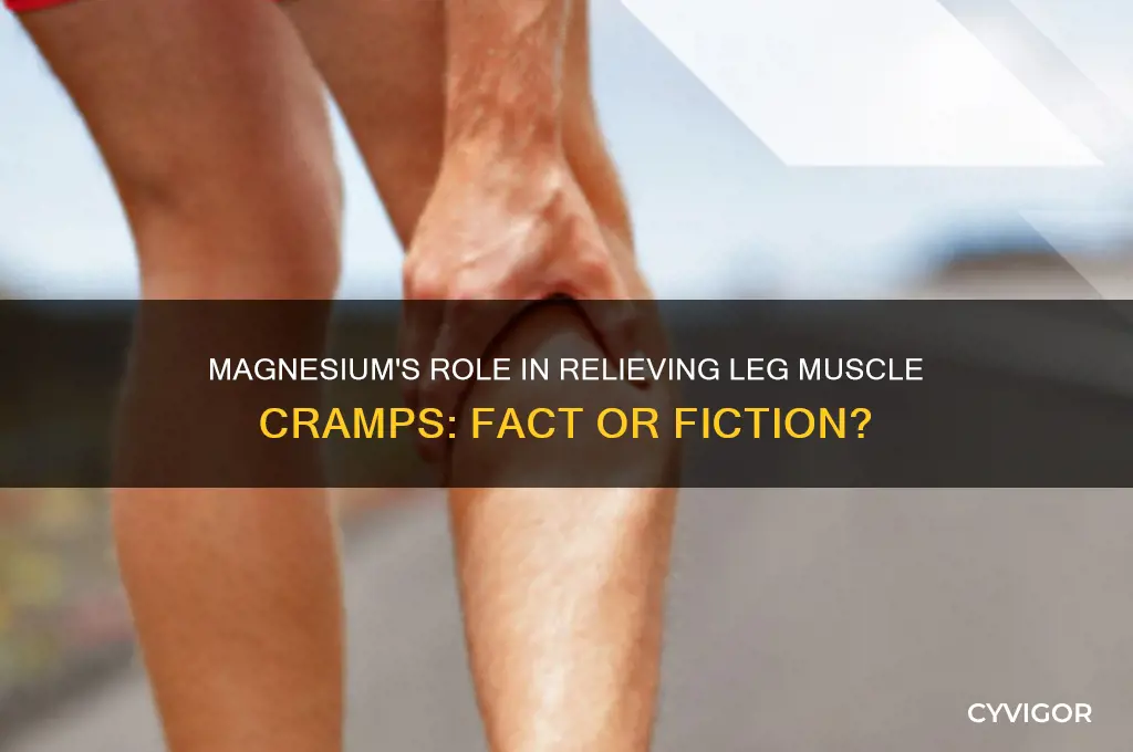 Magnesium's Role In Relieving Leg Muscle Cramps: Fact Or Fiction? | CyVigor