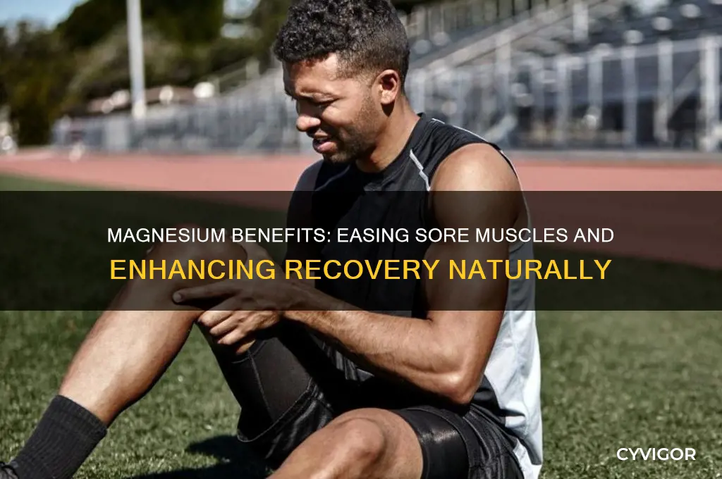 Magnesium Benefits: Easing Sore Muscles And Enhancing Recovery ...