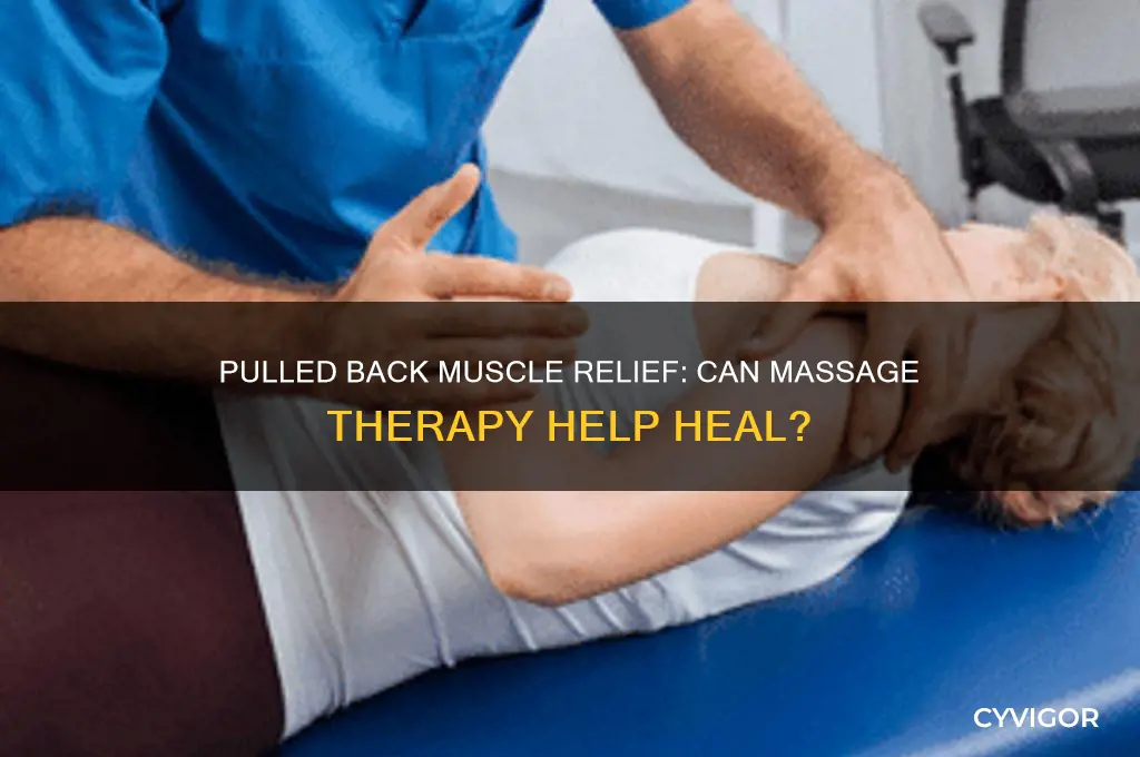 Pulled Back Muscle Relief: Can Massage Therapy Help Heal? | CyVigor