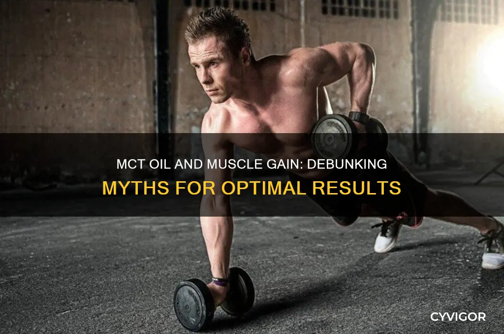 Mct Oil And Muscle Gain: Debunking Myths For Optimal Results | CyVigor