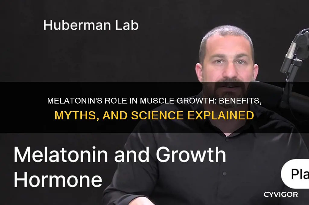 Melatonin's Role In Muscle Growth: Benefits, Myths, And Science ...