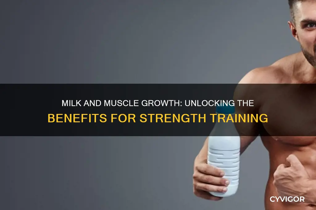 Milk And Muscle Growth: Unlocking The Benefits For Strength Training ...